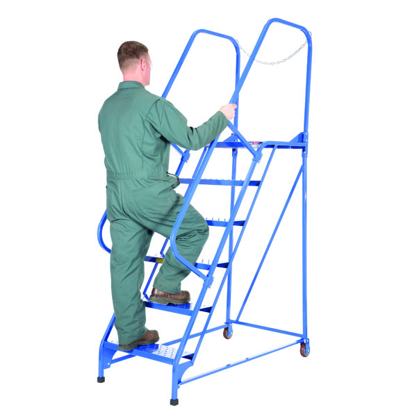 Maintenance Ladder (6) Step | Bastian Solutions